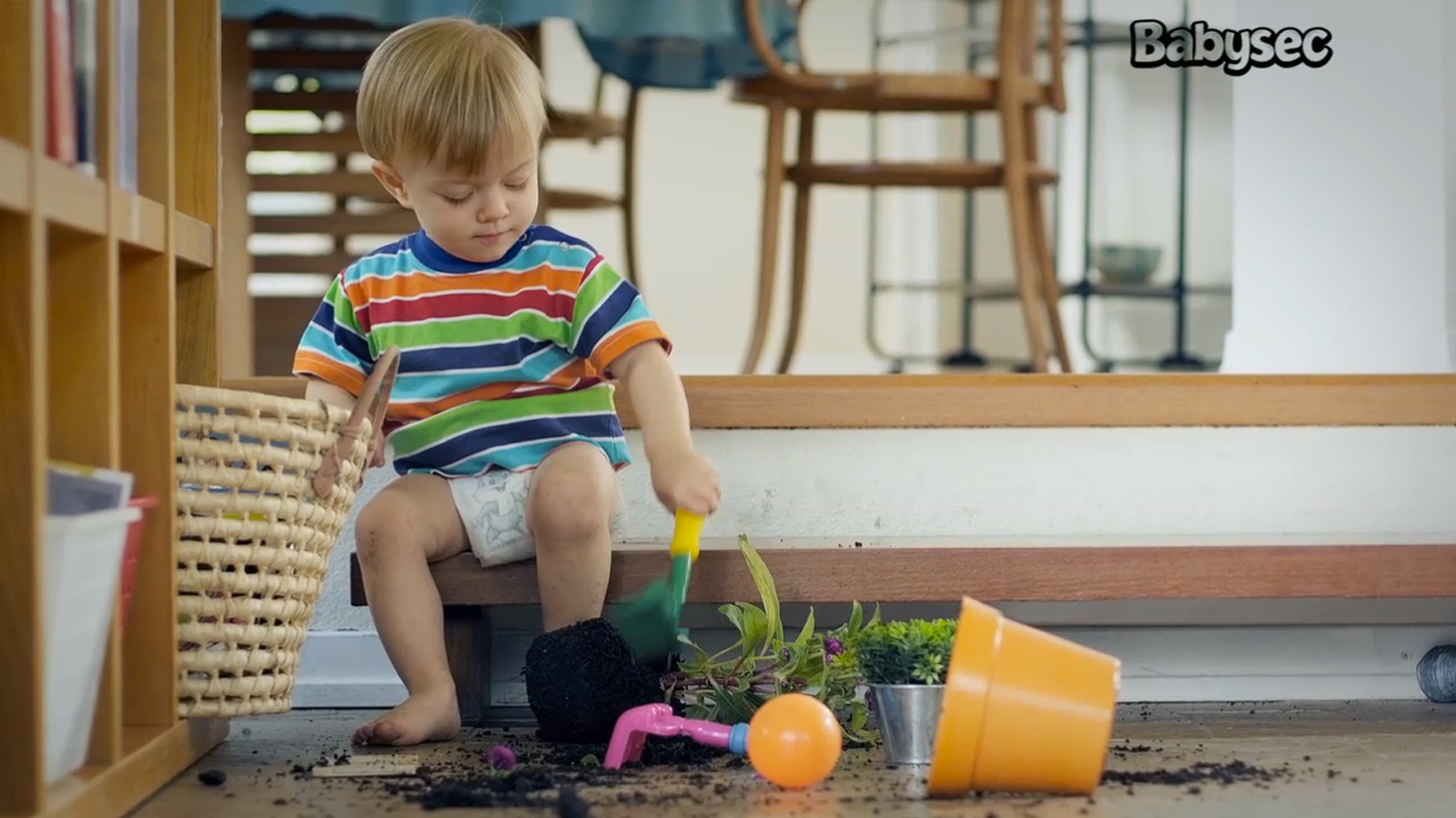 ENTEROGERMINA - Roommate