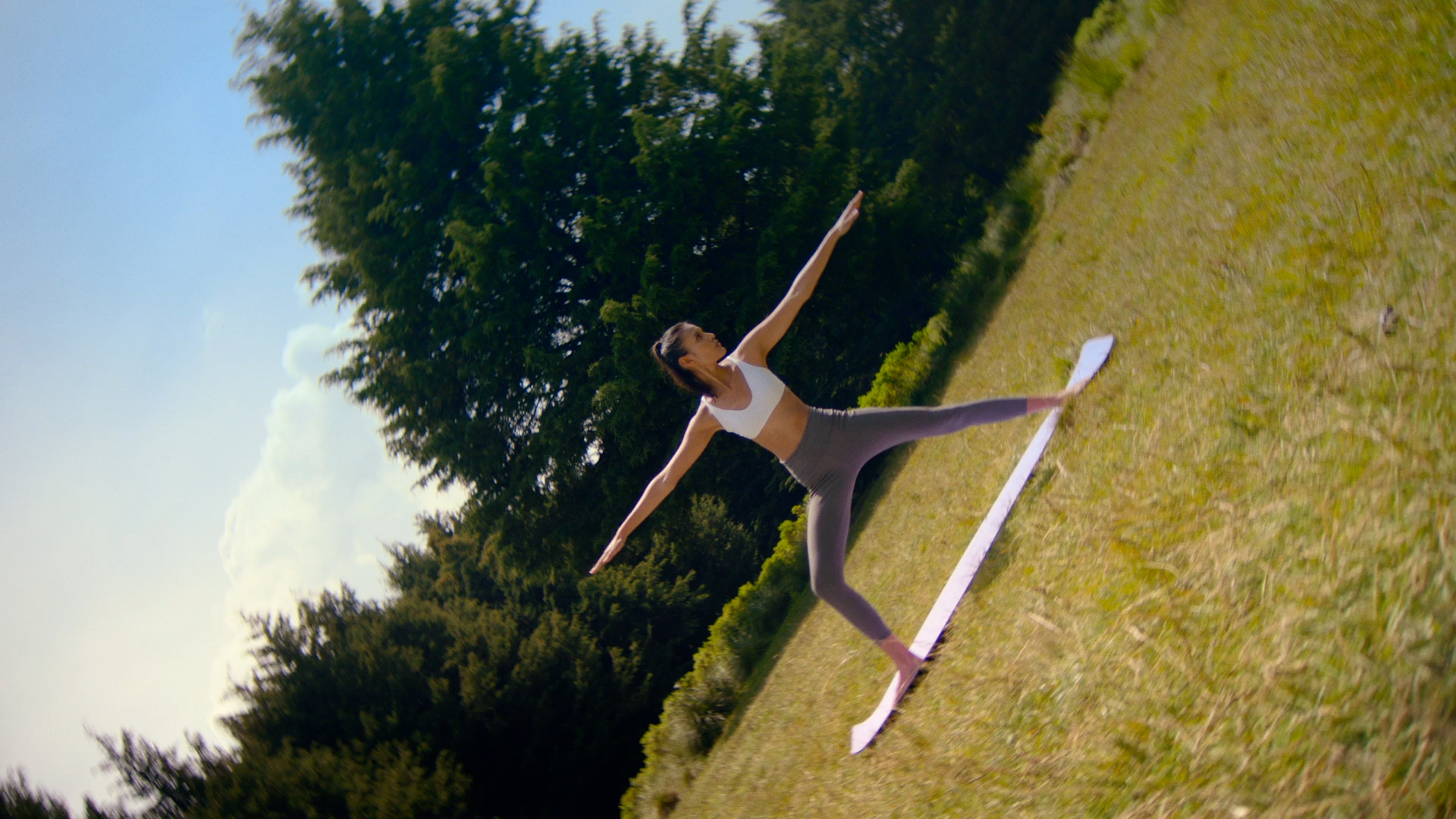 allegra d - Roommate